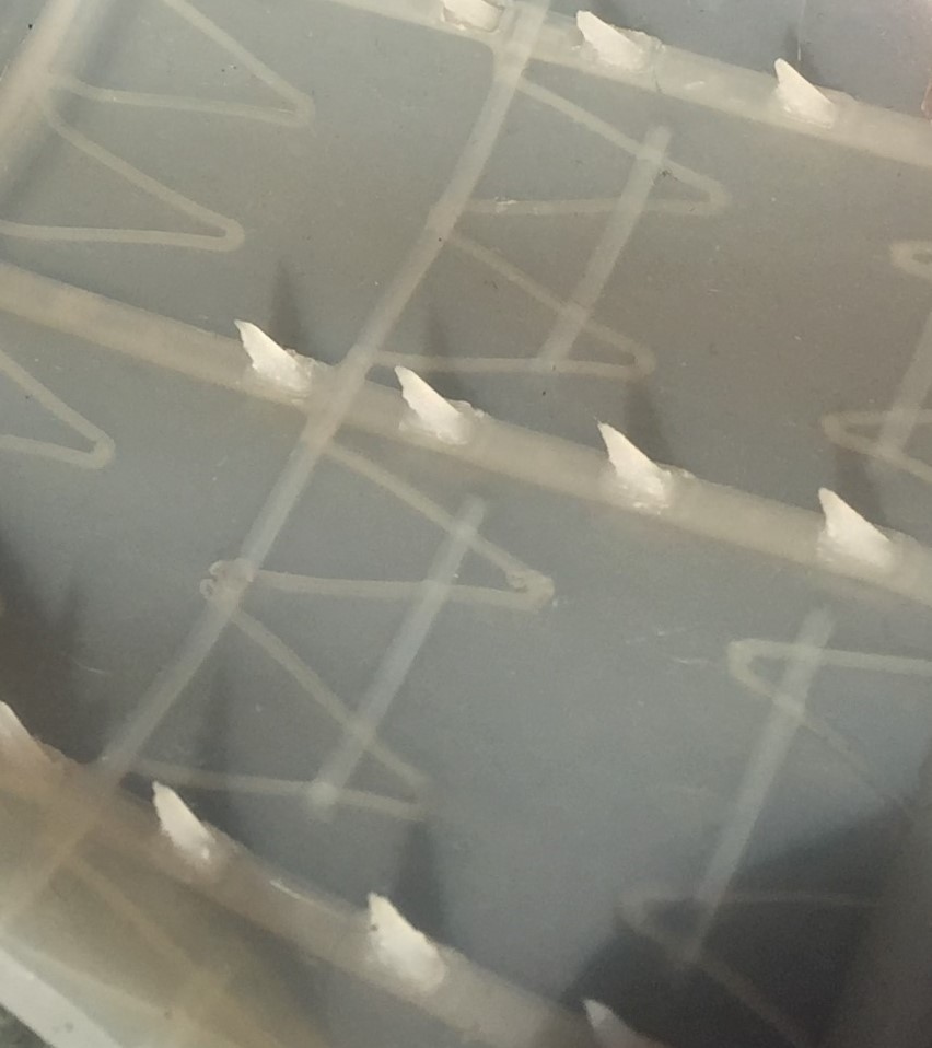 2025 – Rape-aXe the Anti Rape Device